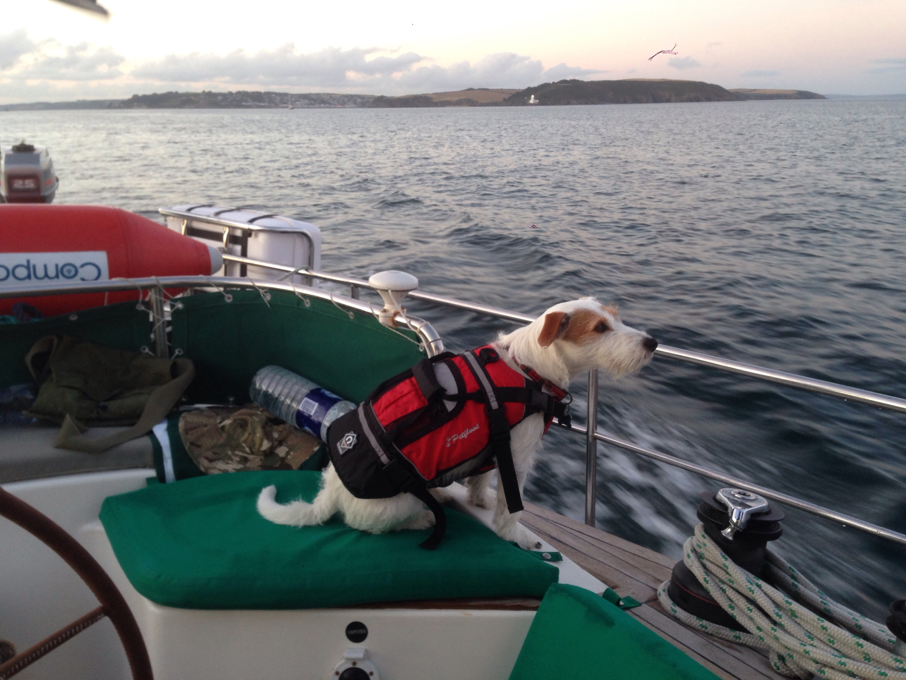 A Poem: Scrumpy The Salty Sea Dog – Boat Hobos
